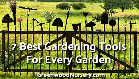 The 7 Best Garden Tools For Every Garden! | Greenwood Nursery